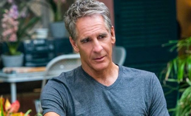 Scott Bakula Net Worth 2024: Age, Height, Weight, Wife, Kids, Bio-Wiki Scott Bakula Net Worth 2024: Age, Height, Weight, Wife, Kids, Bio-Wiki